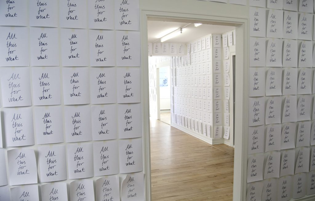 TEXT WALLS - DANA SEDEROWSKY